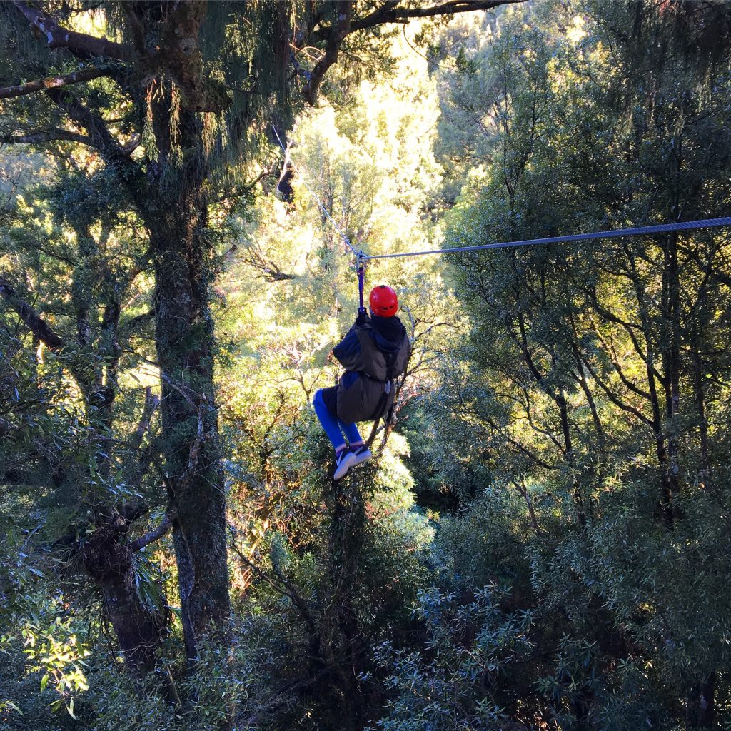 Why Rotorua Canopy Tours Is 1 Of The Best Zip-lining Adventures In The ...